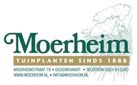 Moerheim.nl